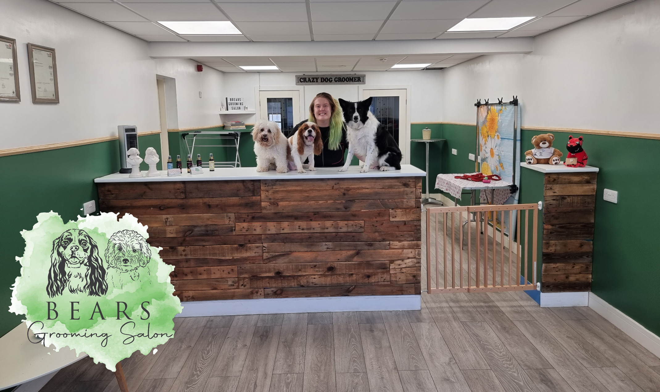 Elise Nunn Dog Grooming Riseholme College